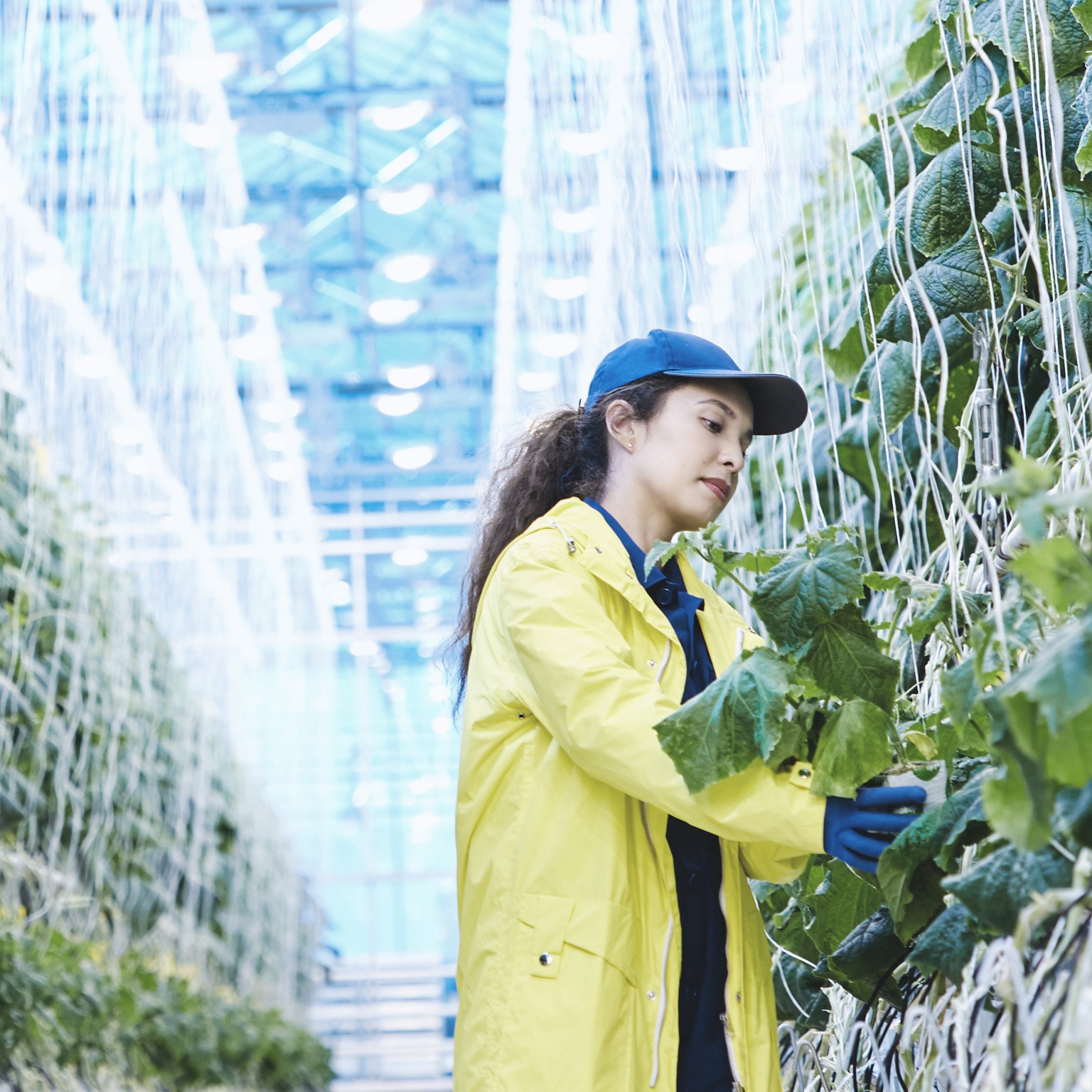 Net-Zero & ESG Strategy | Germany | McKinsey & Company