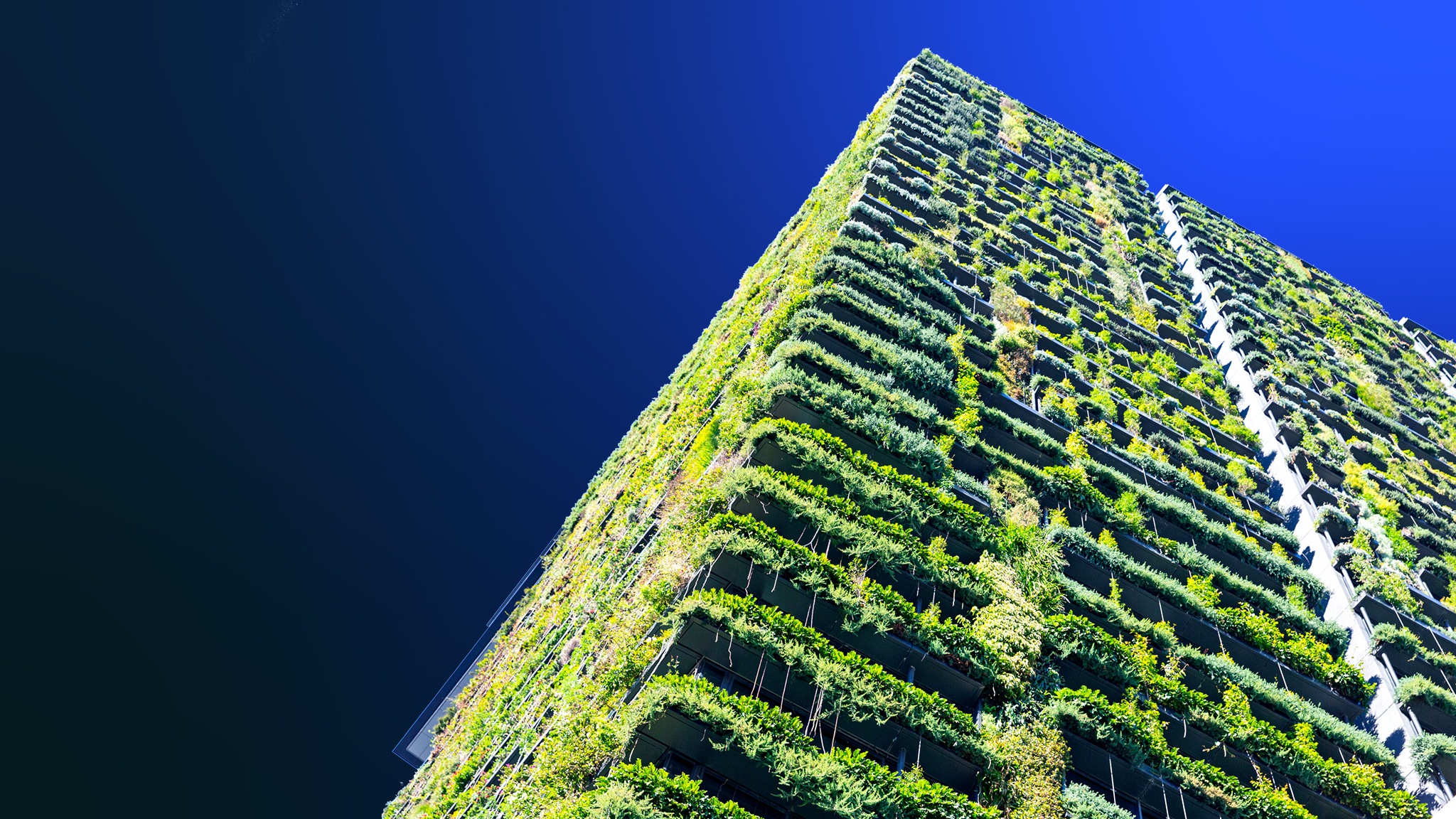 Wie Deutschlands Behörden bis 2030 klimaneutral werden können | McKinsey