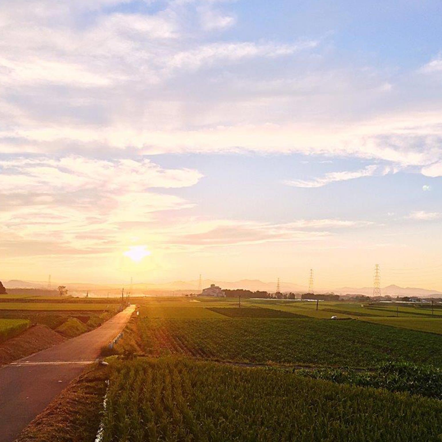 Building a food security strategy for Japan in an age of global ...