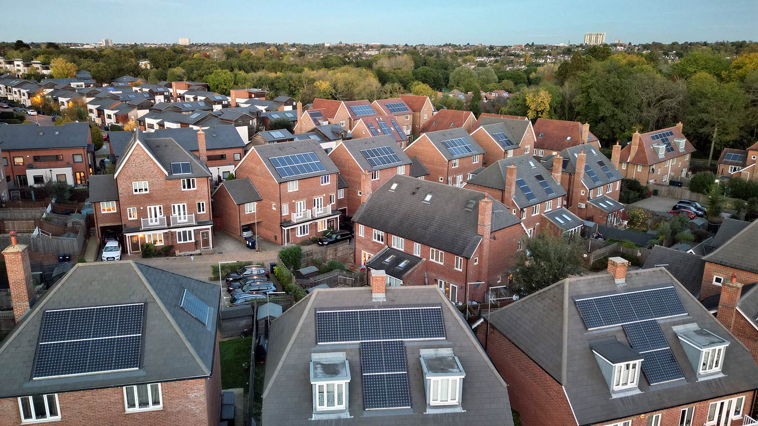 New green businesses are better prepared than ever to deal with uncertainty