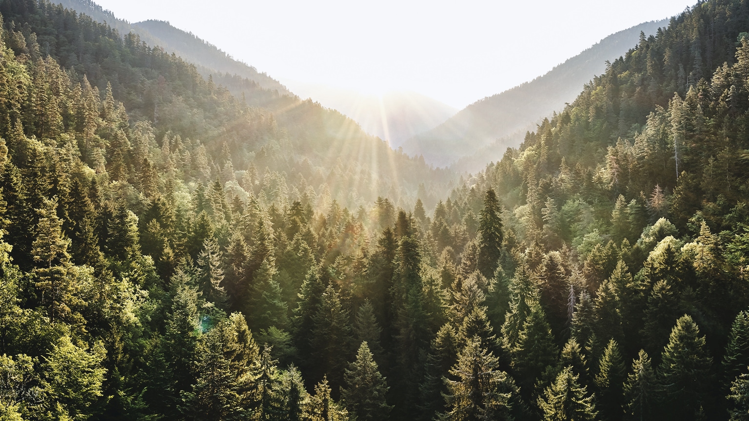 On an Earth Day marked by pandemic, why addressing climate risk is as ...