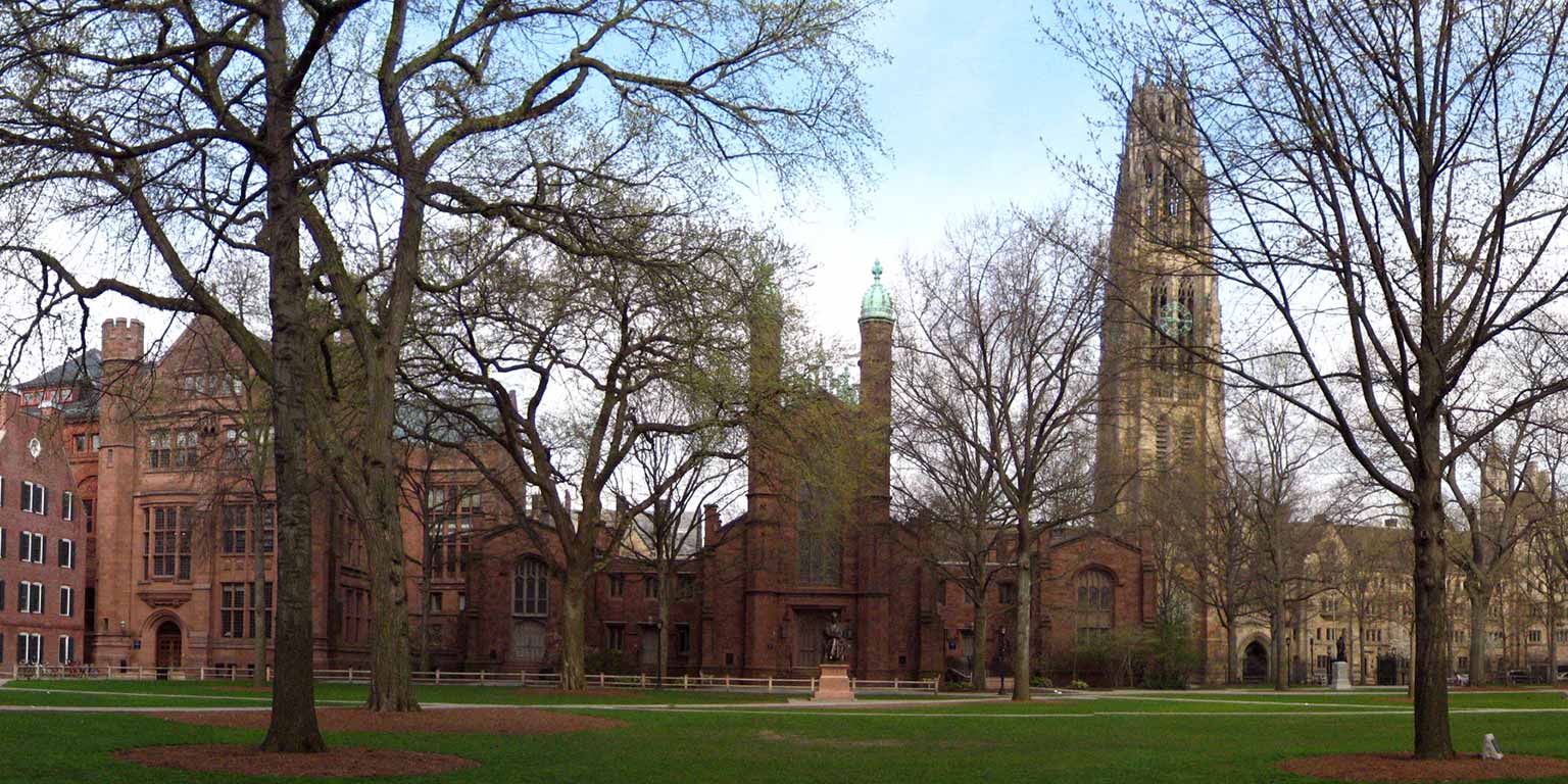 Yale Law School | Careers | McKinsey & Company