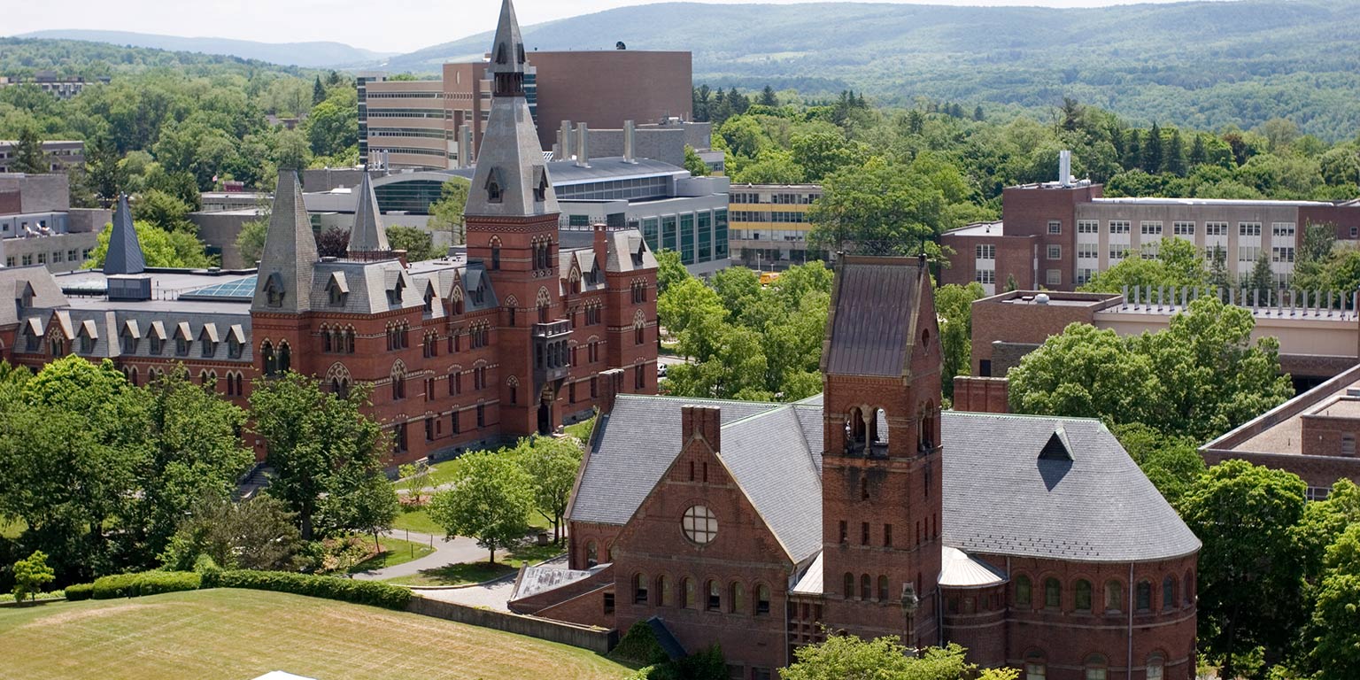 Cornell University | Careers | McKinsey & Company