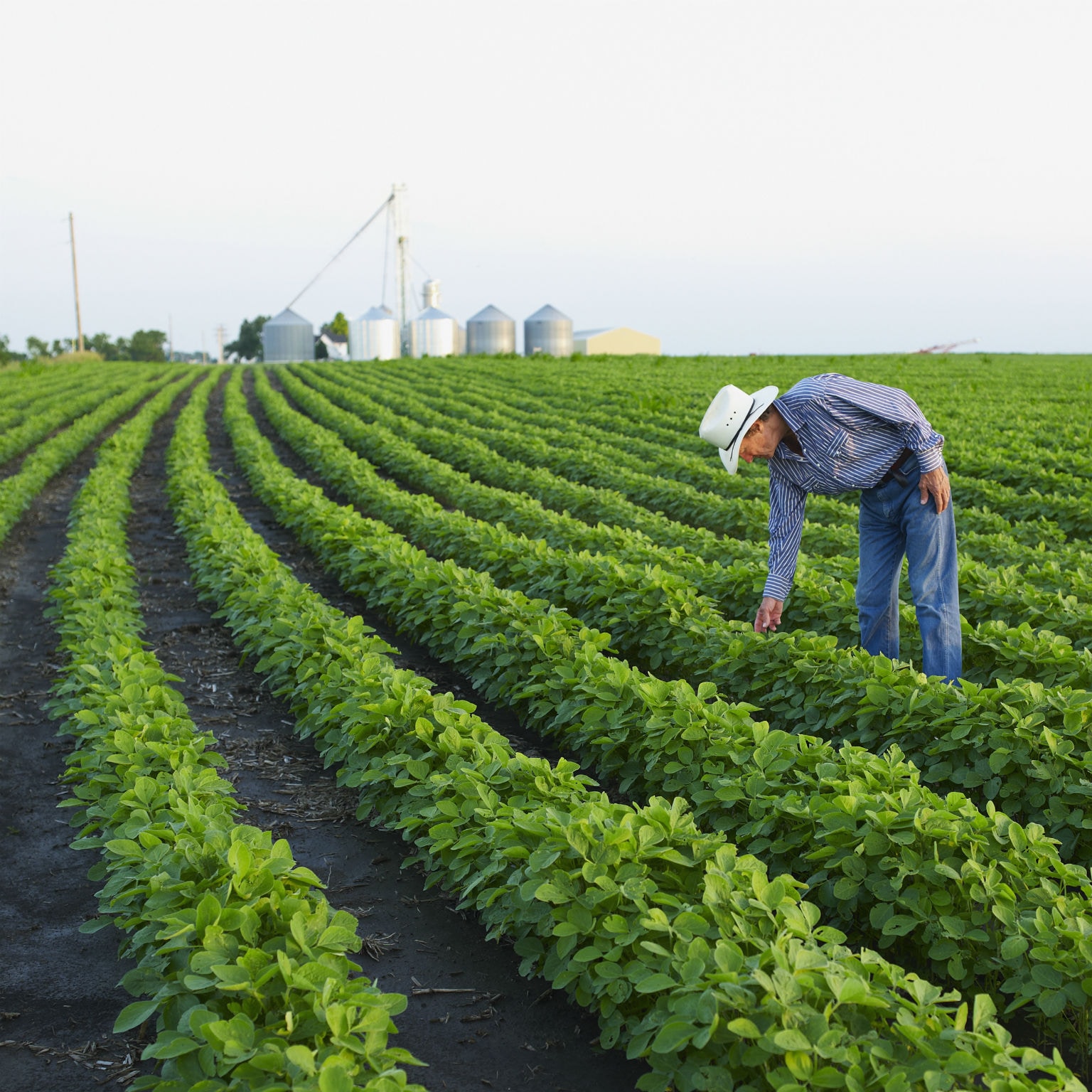 How to incentivize food systems to meet the realities of the 21st ...