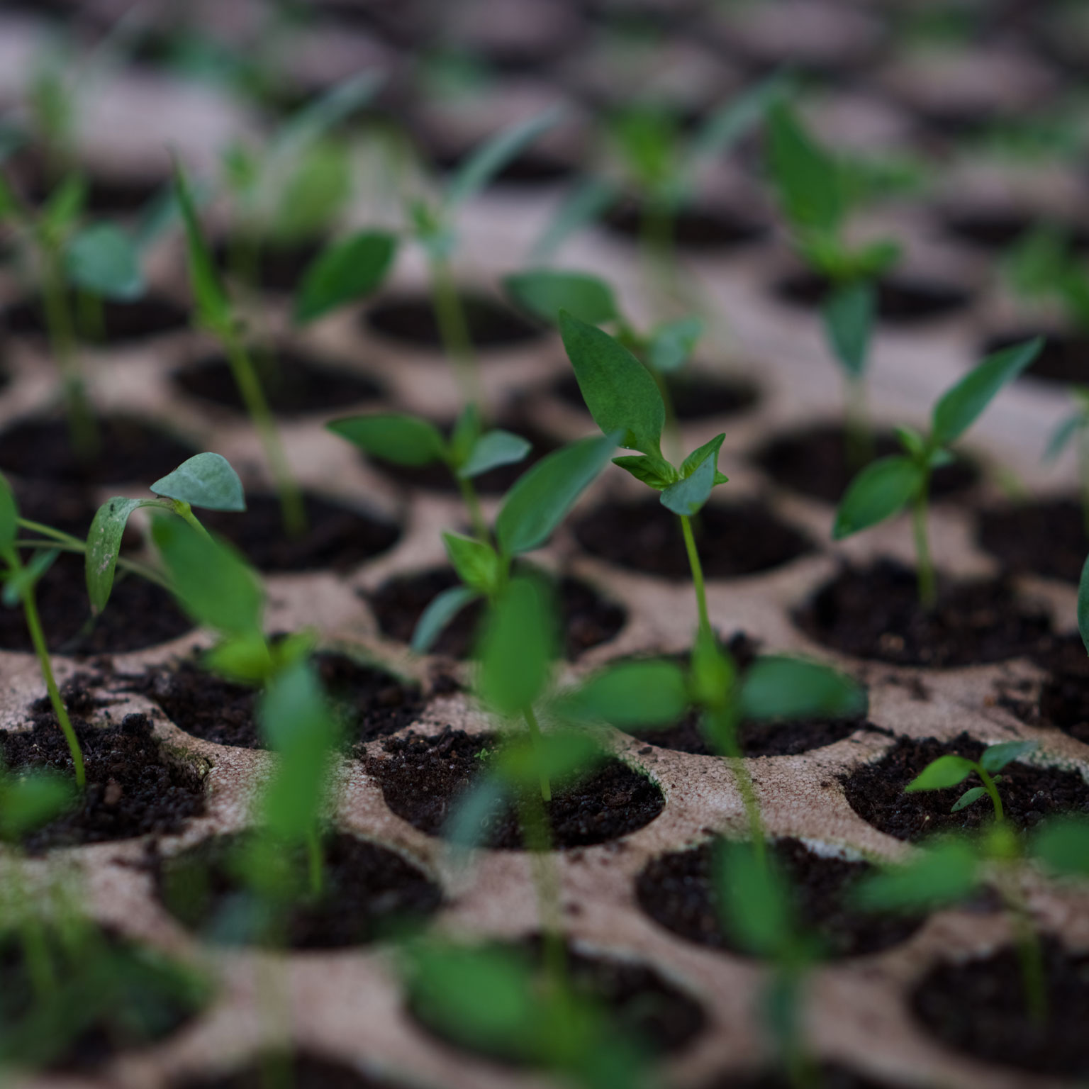 Readiness for agricultural transformation | McKinsey