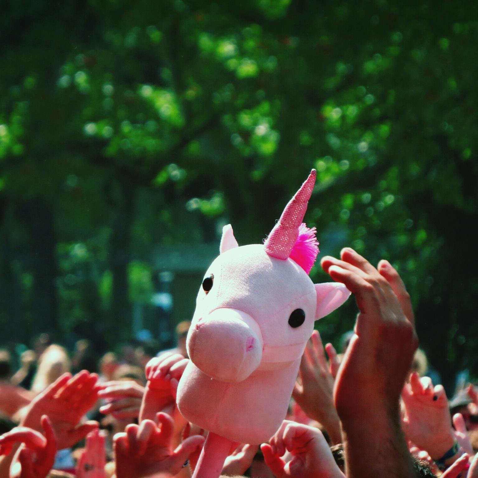 Anatomy of a unicorn: Why tech start-ups are staying private | McKinsey