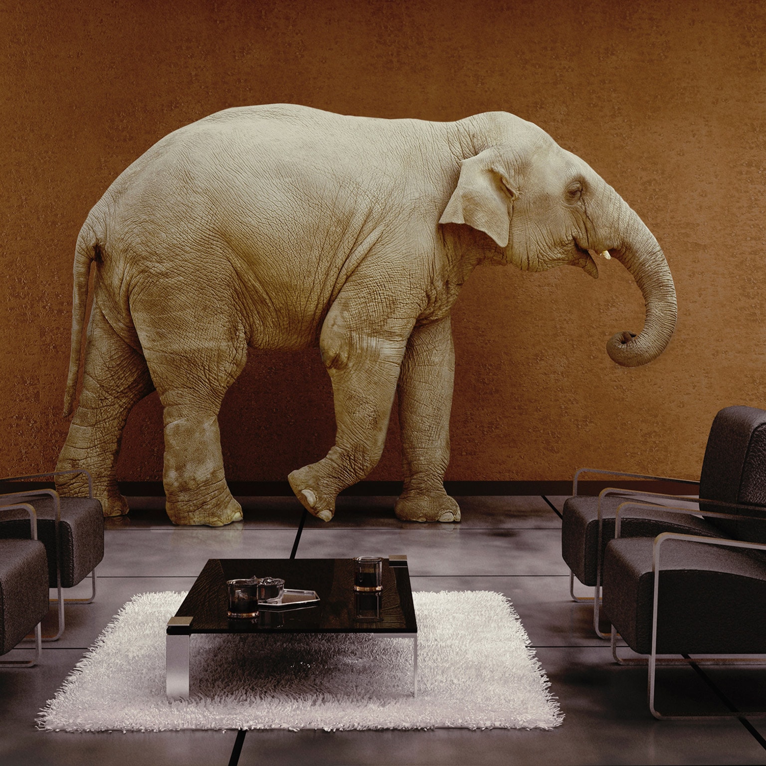 Say hi to the social media elephant in the room | McKinsey