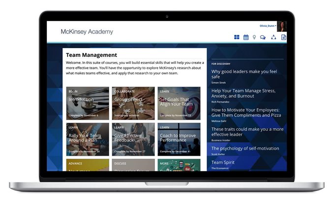 McKinsey Academy Technology Platform | People & Organizational ...