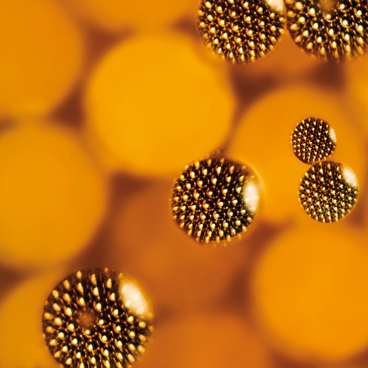 Lever seven: Capabilities | McKinsey