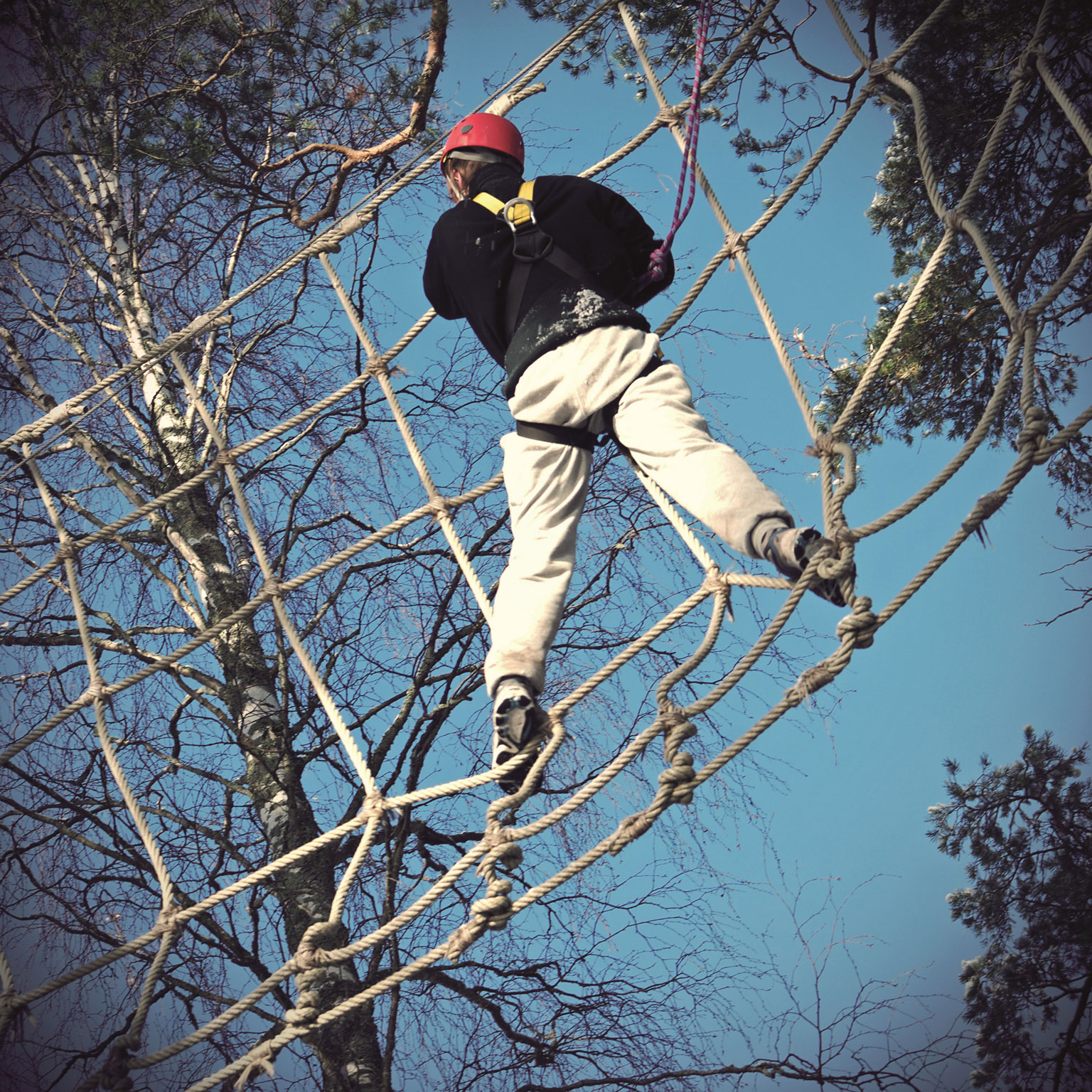 Low cost, high stakes: Five strategies for generic supply chains | McKinsey