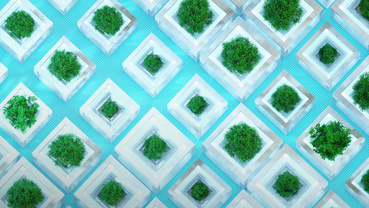 The potential for productivity