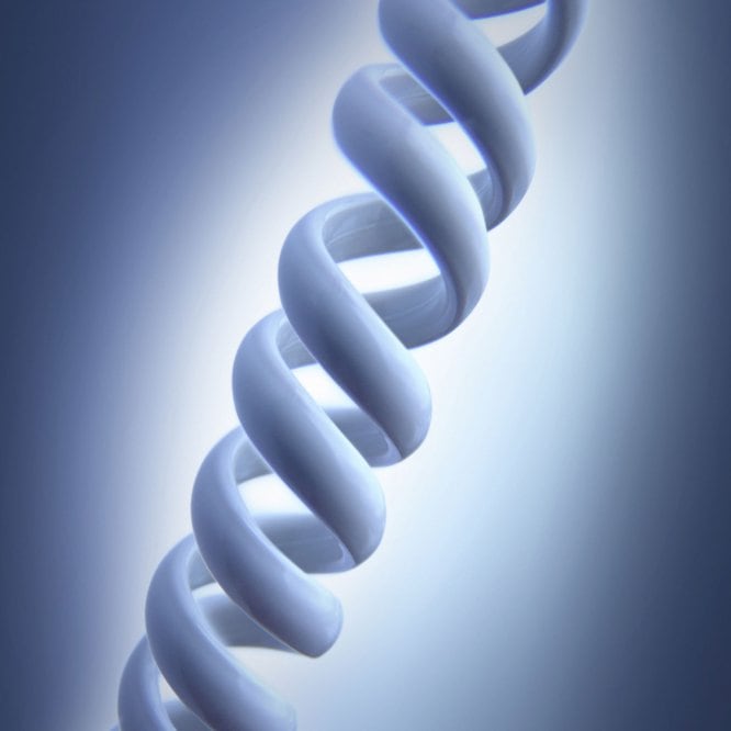 The DNA of Supply Chain Executives | McKinsey