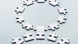 Realizing the value of your merger with the right operating model ...