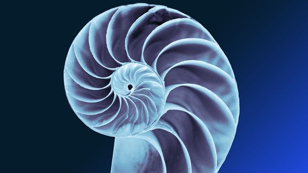 Agile talent: How to revamp your people model to enable value through ...