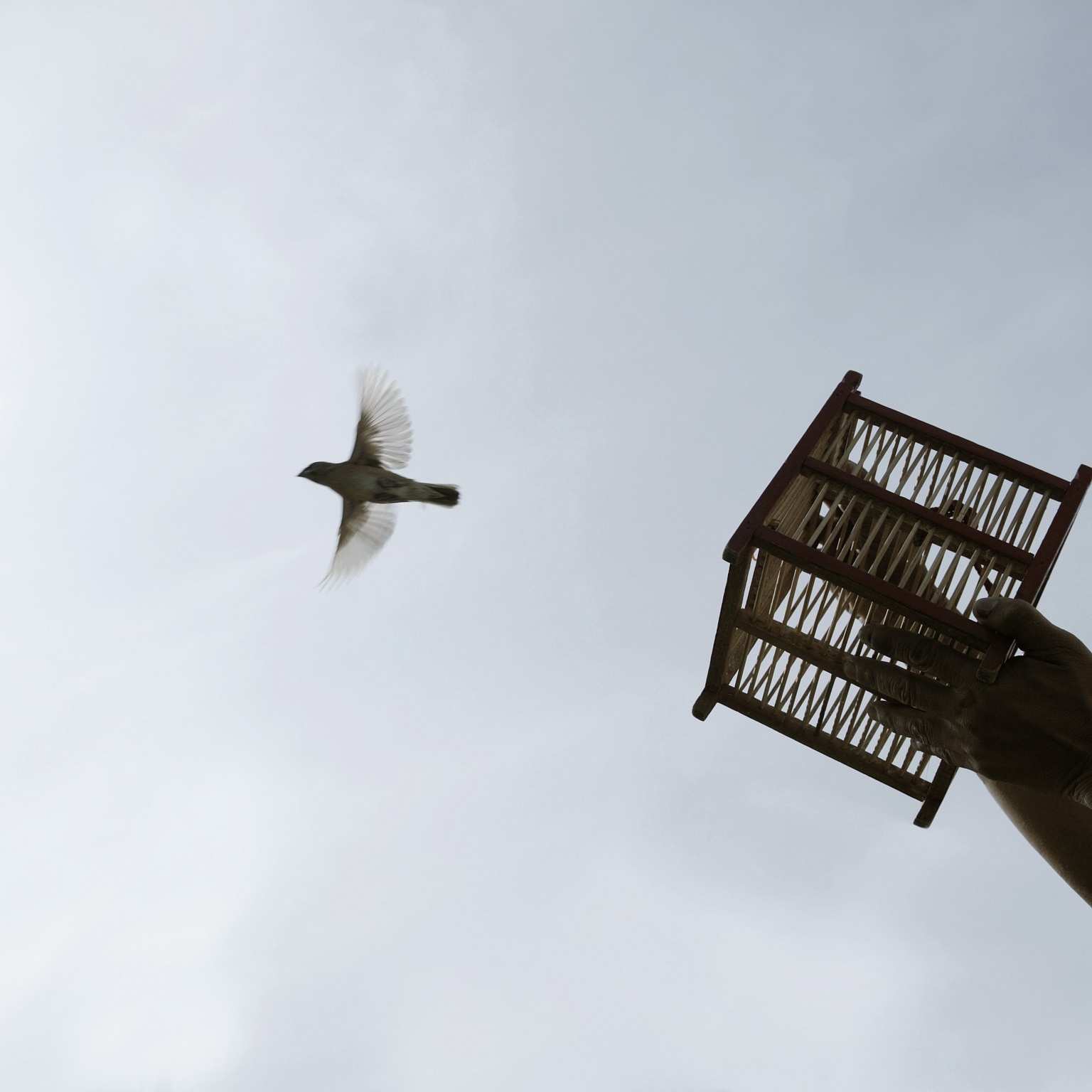 Beyond the pandemic: Eight charts on COVID-19 and the next phase of ...