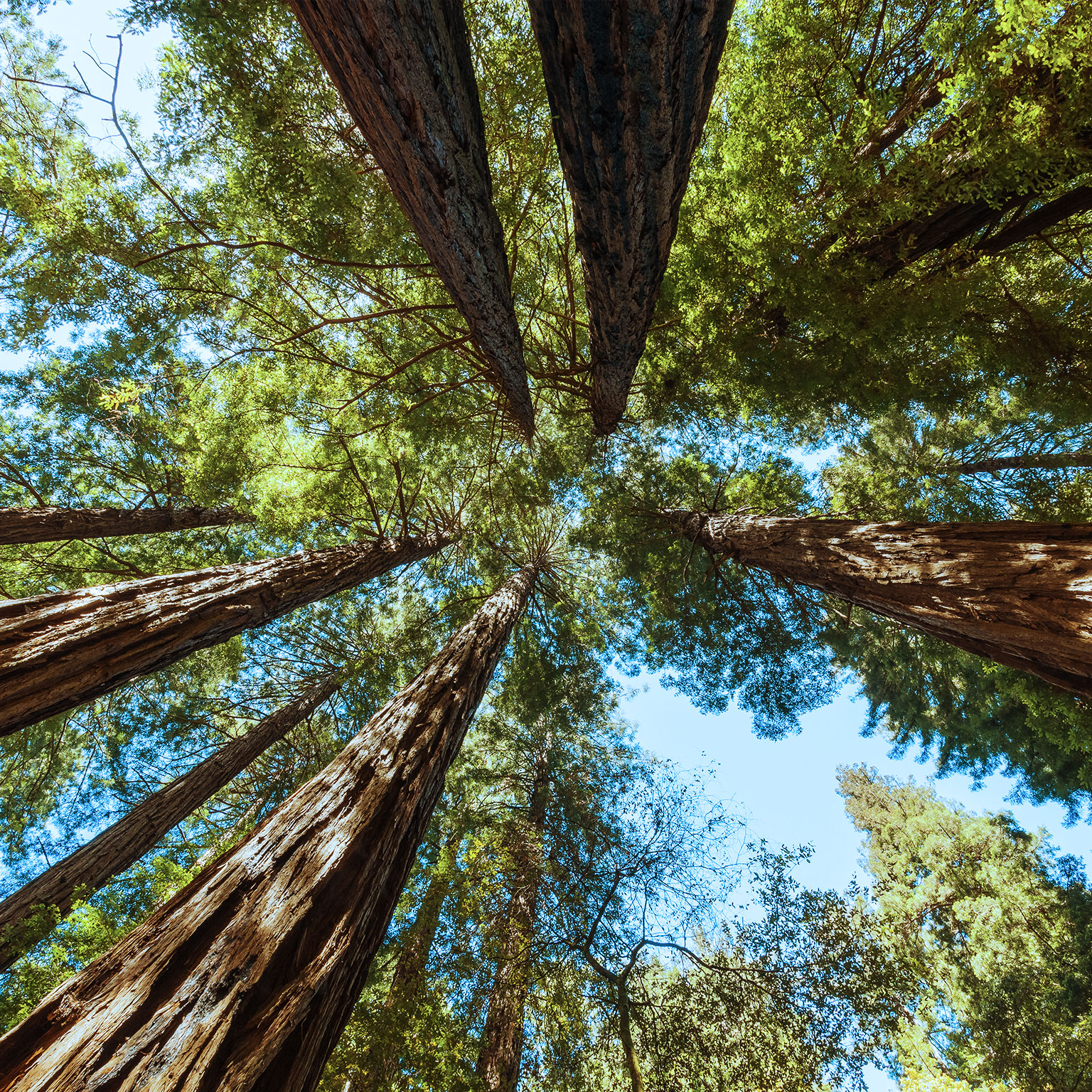 Leading for the long term | McKinsey