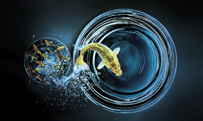 Transformation consulting | McKinsey & Company | McKinsey & Company