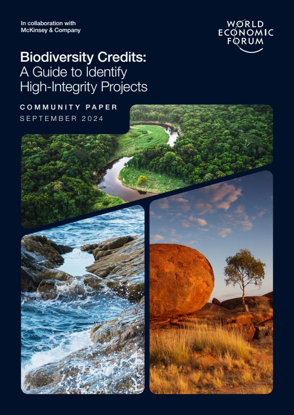 Biodiversity credits: A guide to identify high-integrity projects ...