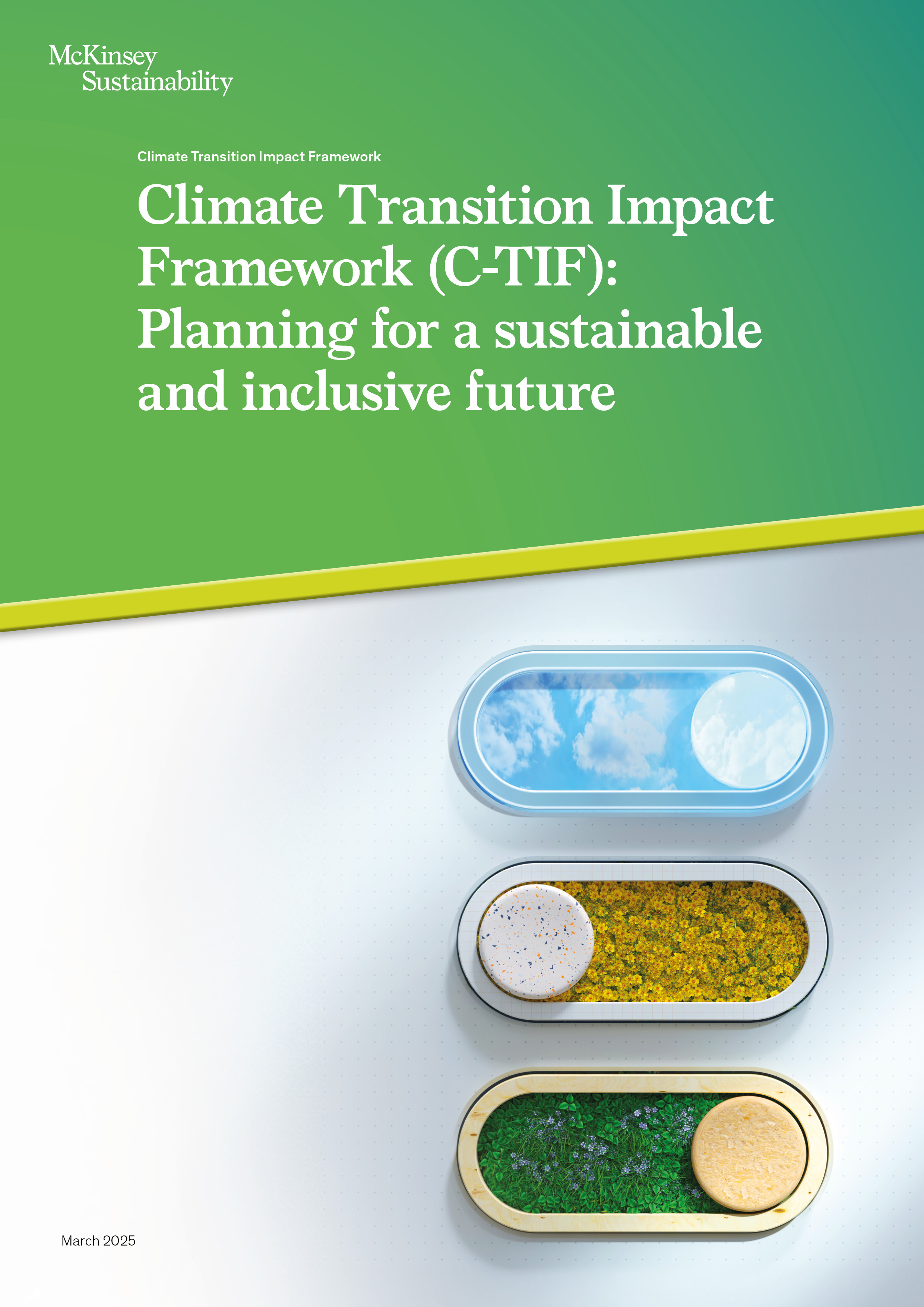 Climate transition: building a sustainable future | McKinsey