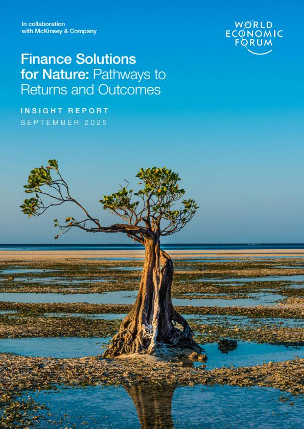 Finance solutions for nature | McKinsey