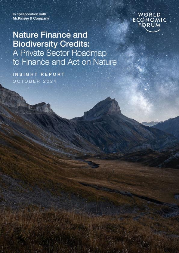 Nature finance and biodiversity credits: A private sector road map to ...