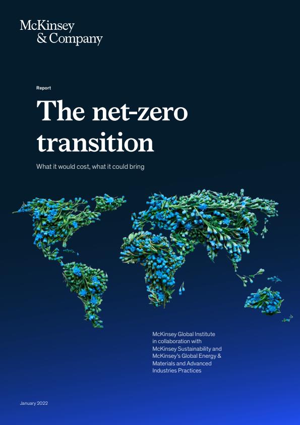 Six characteristics that define net zero | McKinsey