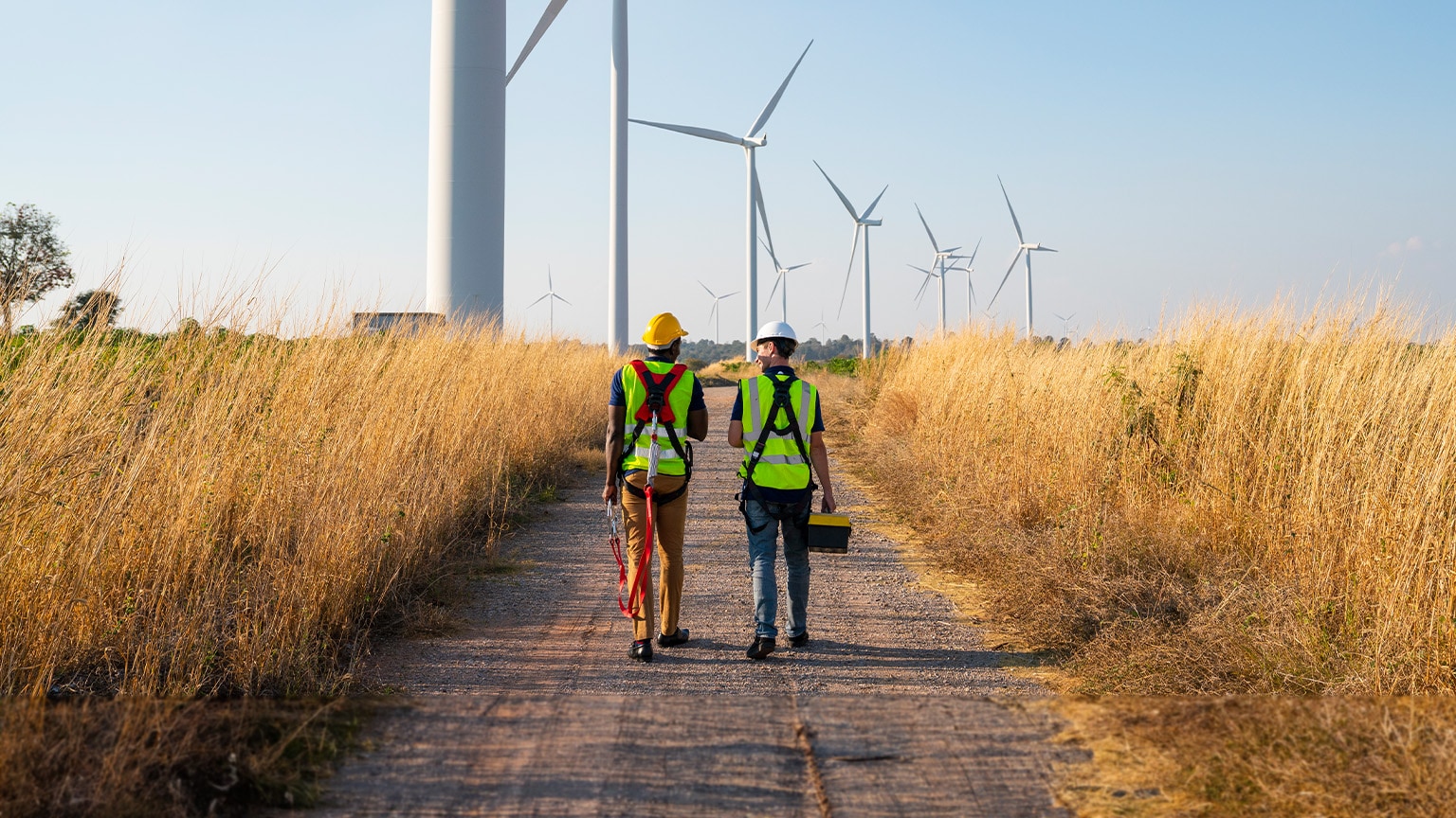 Five ways climate tech companies can cut costs and scale faster