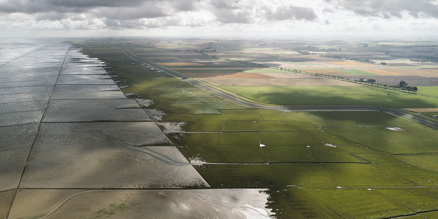 It’s time to scale up natural climate solutions—here’s how