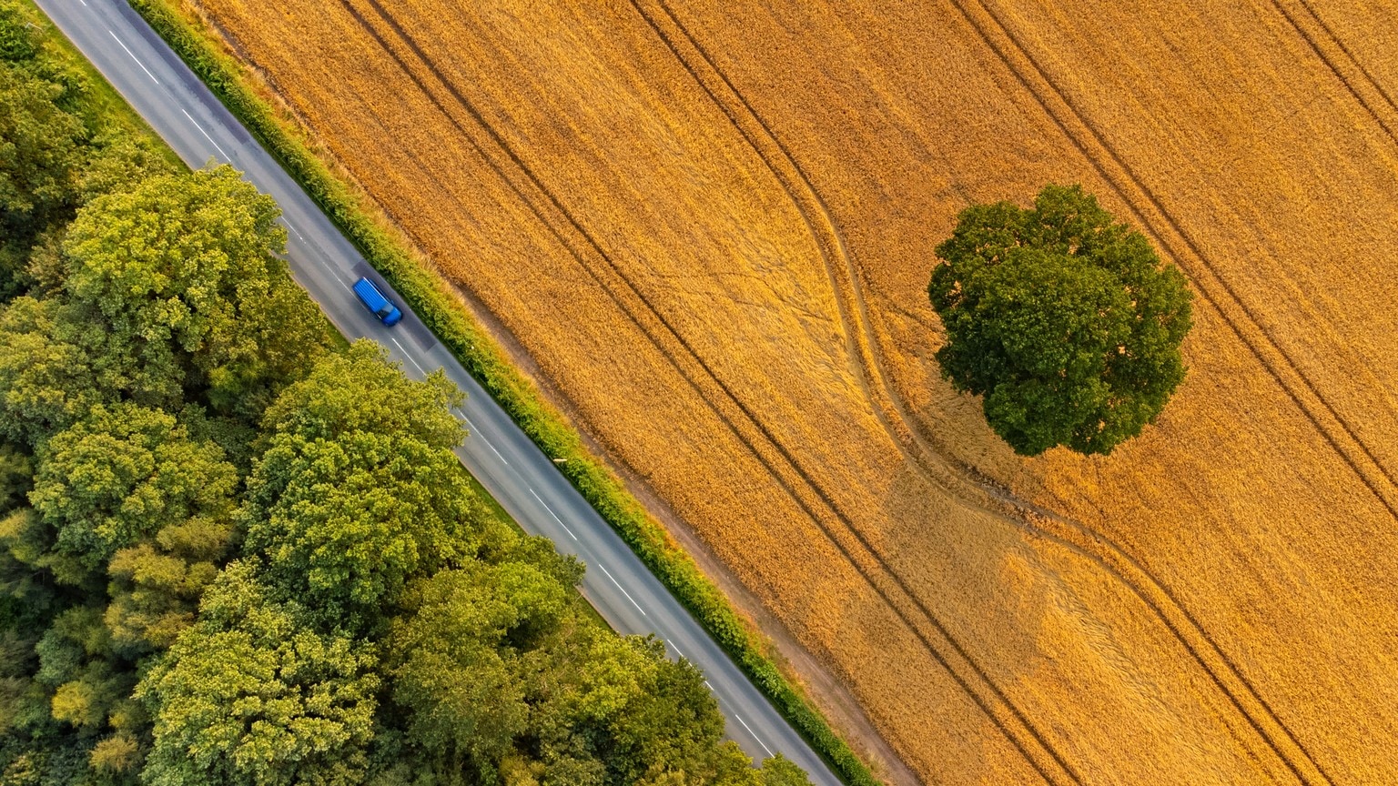 What we wish organizations were asking about climate adaptation and ...