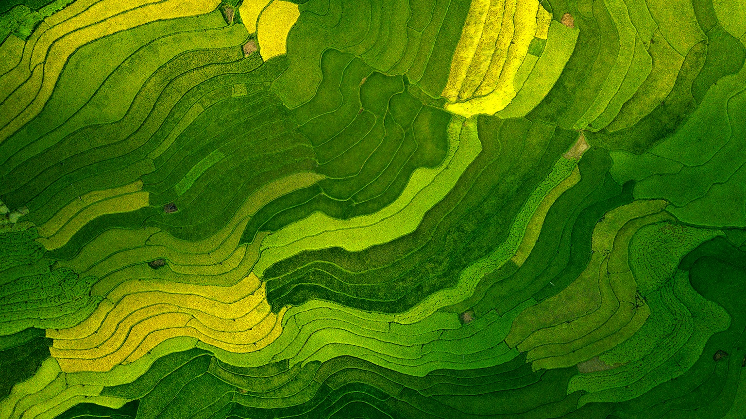 The Sustainability Success Equation in Vietnam