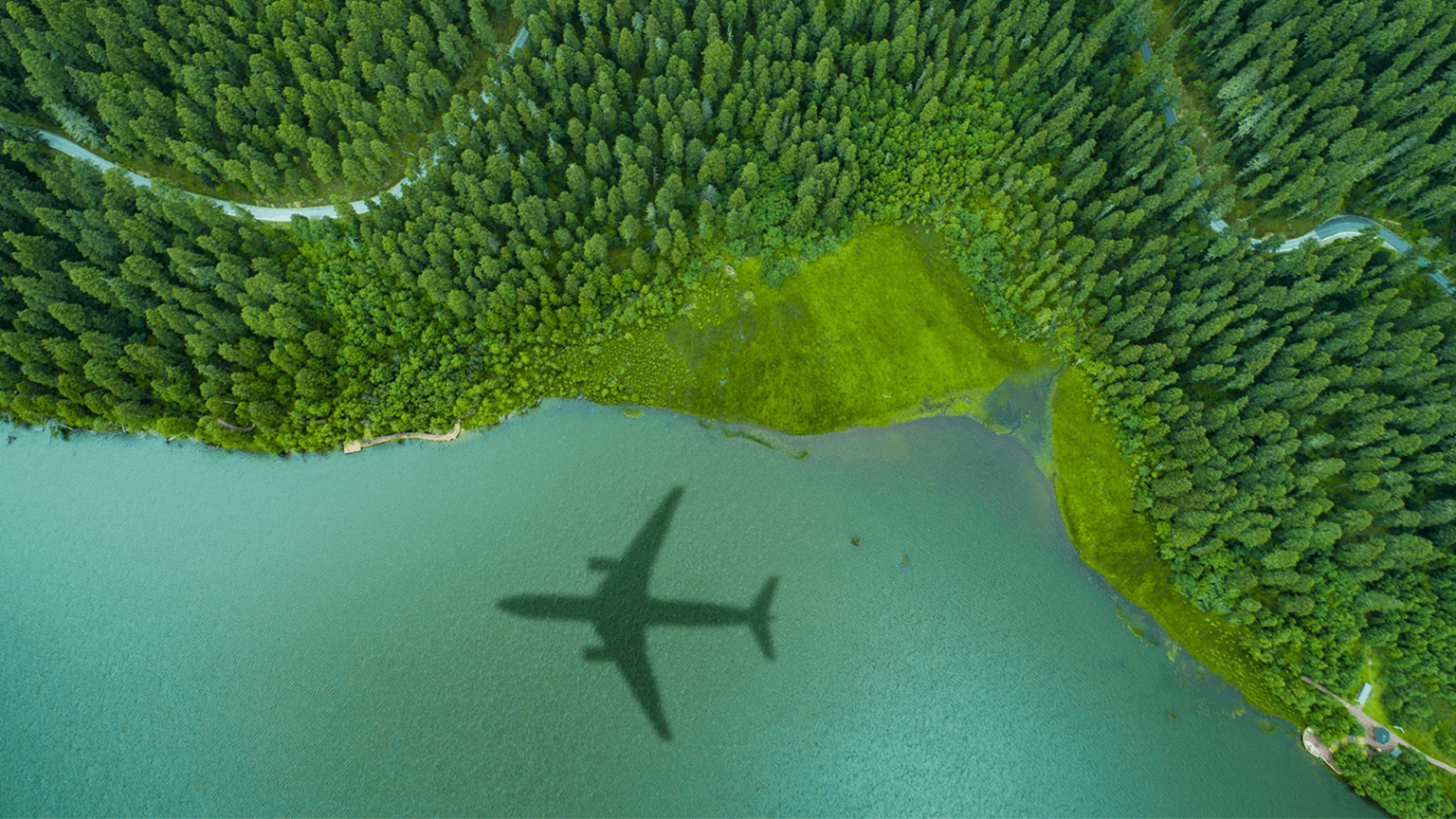 The path to net zero in aviation | McKinsey & Company