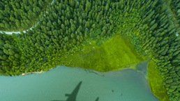 Decarbonizing aviation: Making net zero possible | McKinsey