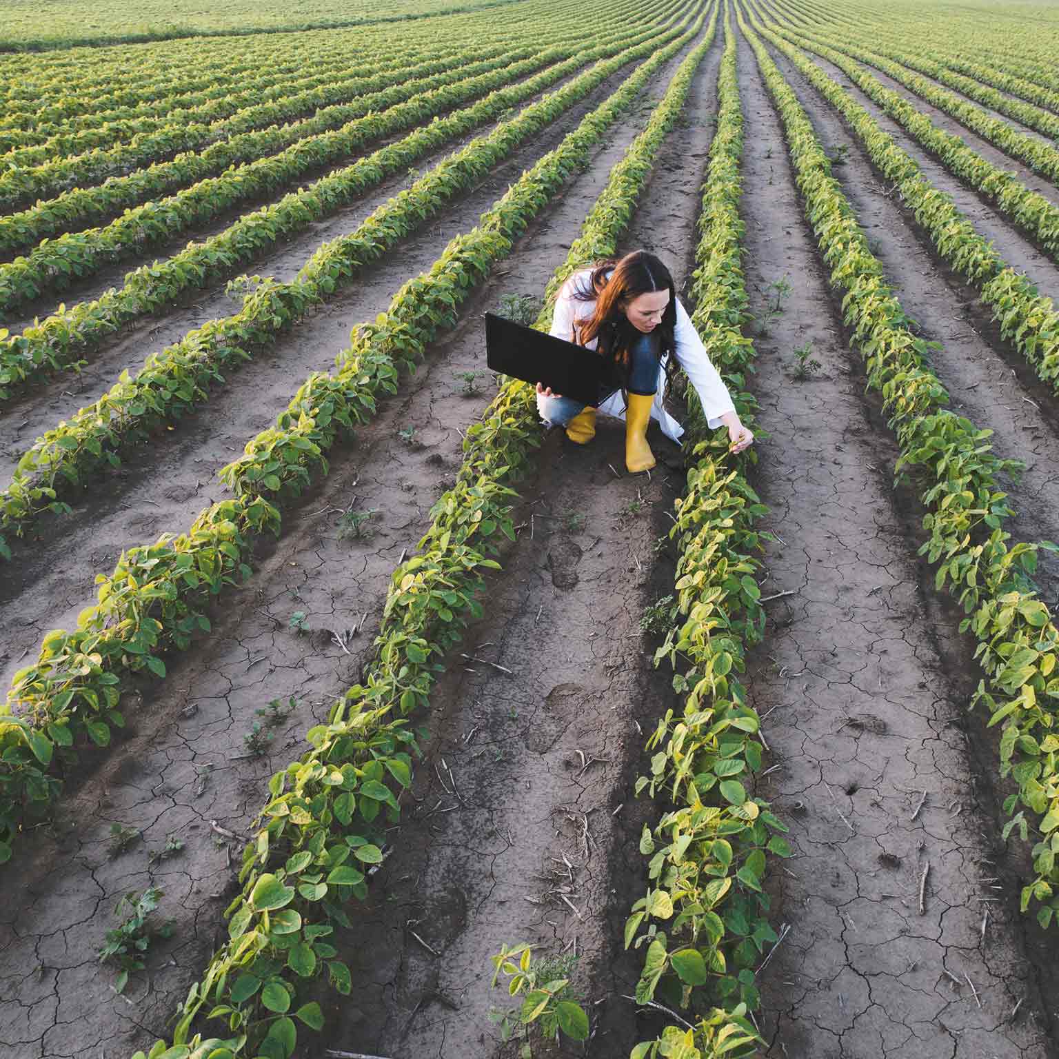 Digital | Agriculture | McKinsey & Company