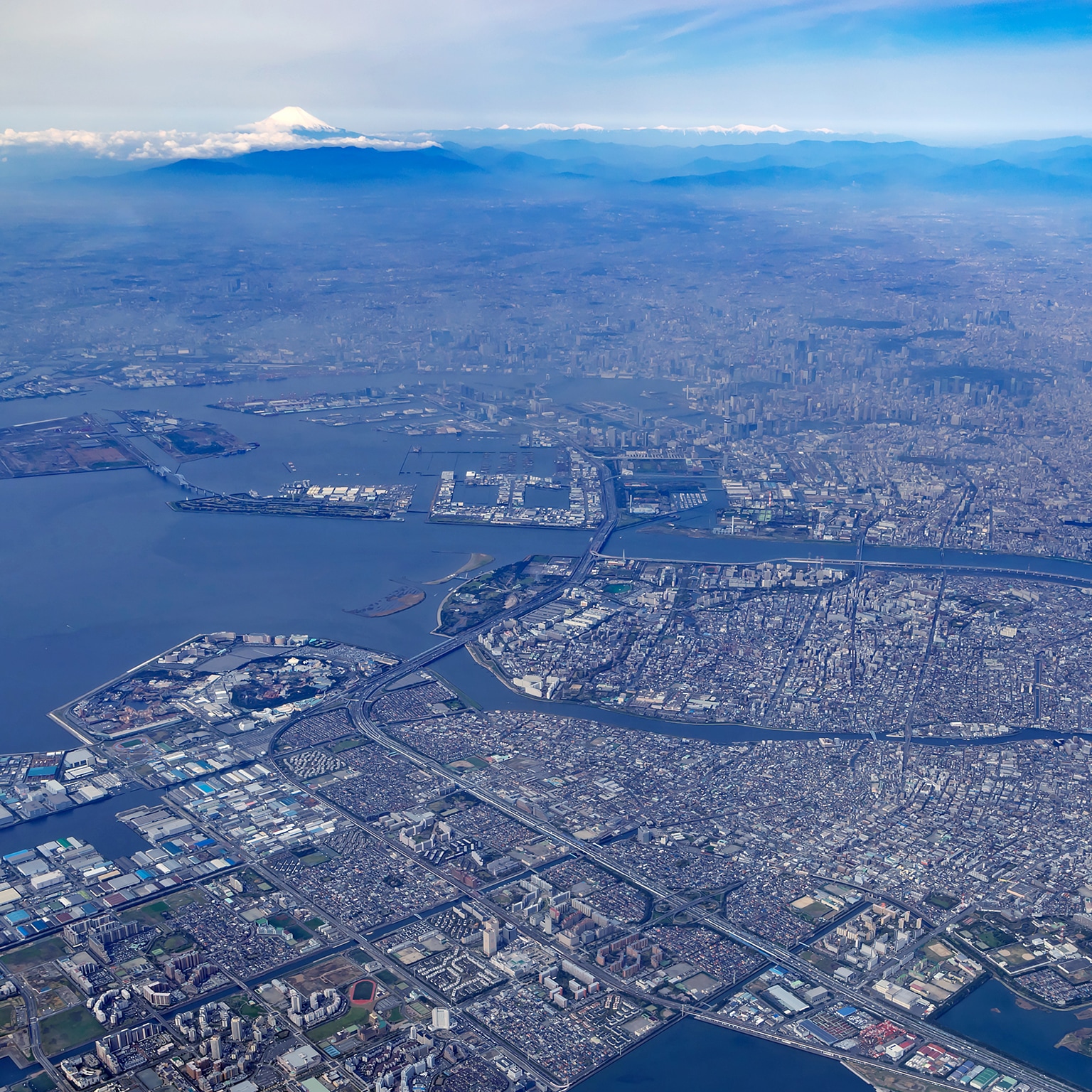 The future of chemicals in Japan | McKinsey