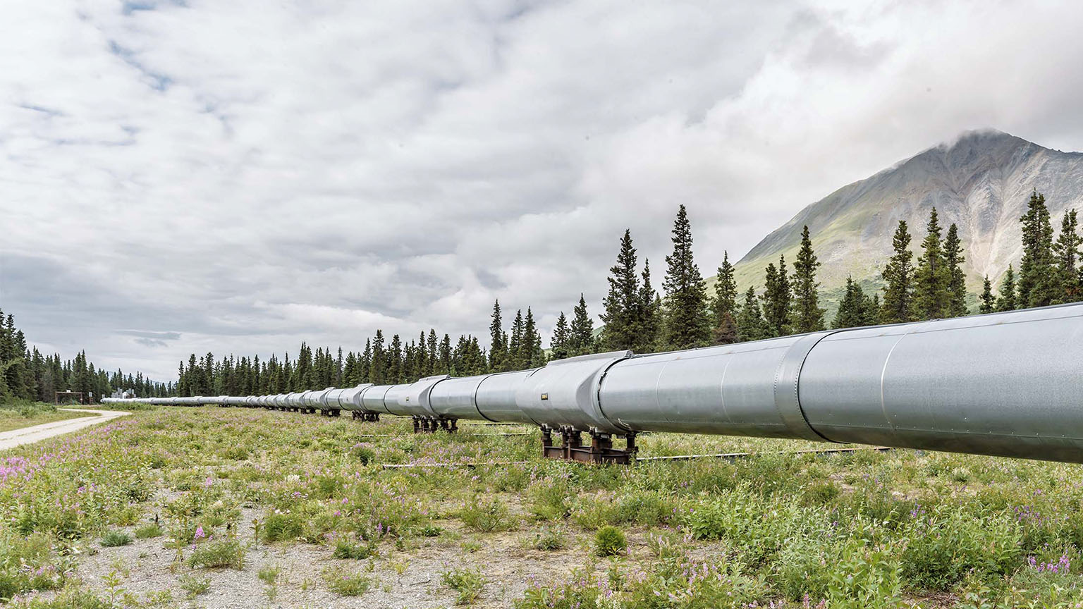 Electric Power & Natural Gas Insights | McKinsey & Company