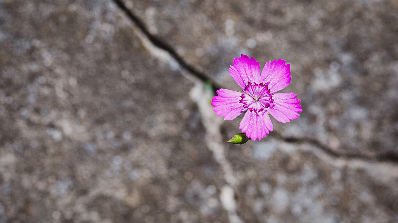 Are Europe's banks ready for recession?