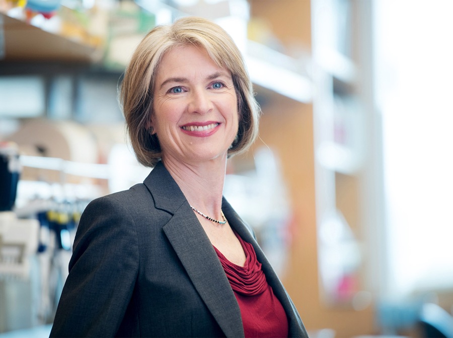 Programming life: An interview with Jennifer Doudna, CRISPR | McKinsey