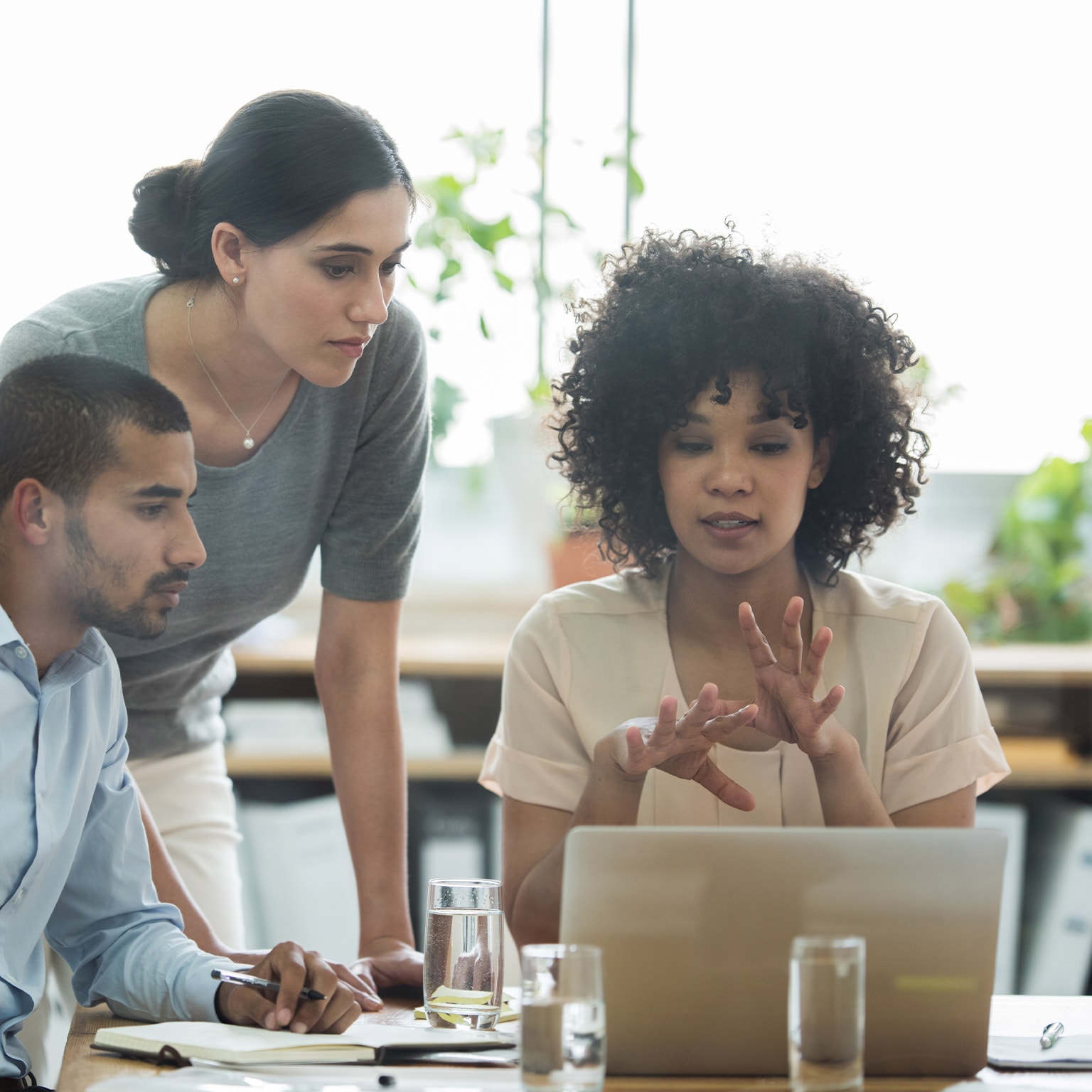 Learn how to prepare for a job application process - create your CV and ...