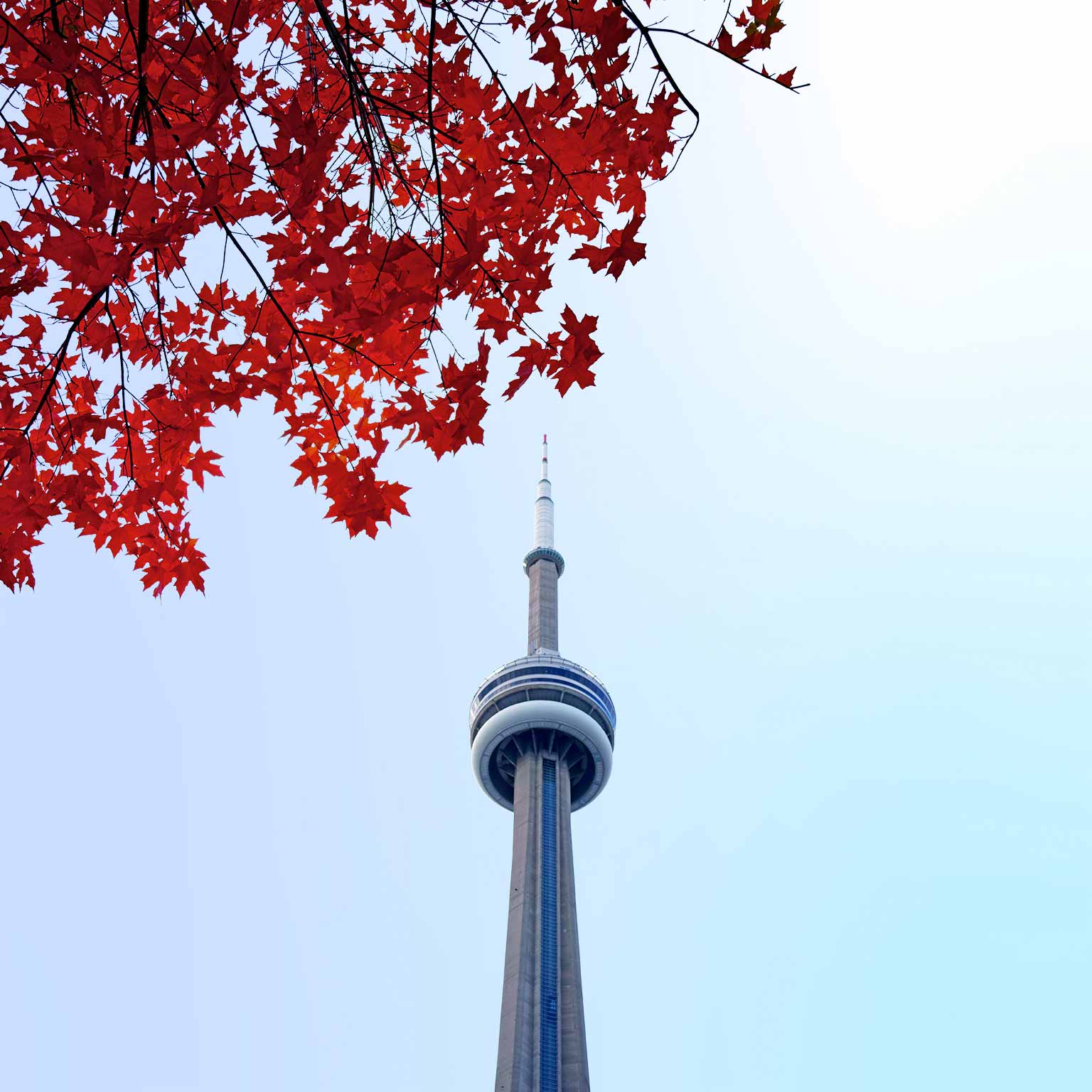 Toronto | McKinsey & Company